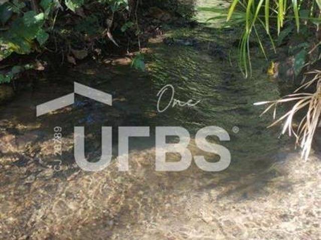 Chácara de 5,1 alqueires 24.80,56 ha em frente ao Casarão, na BR 060