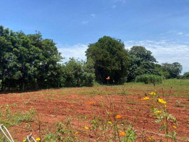 Chácara de 7.000m² com casa simples em Cesário Lange SP