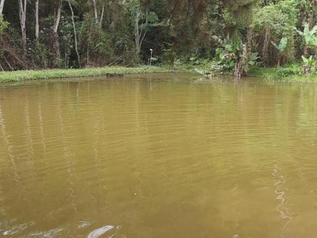 CHÁCARA DE 7.000M² COM LAGO É PISCINA, ACEITA R$ 150.000 DE ENTRADA E RESTANTE PARCELADO