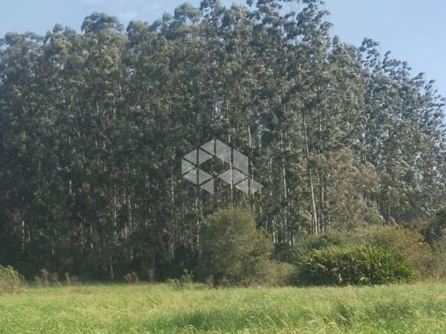 Chácara de 7 hectares na Linha Bernardino pronta para o plantio