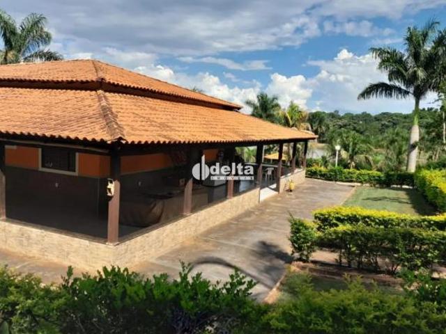 Chácara disponível para venda na região rural em Uberlândia MG