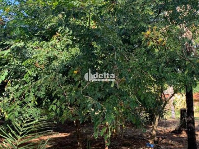 Chácara disponível para venda na região rural em Uberlândia MG