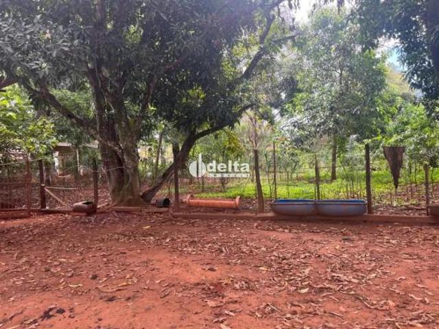 Chácara disponível para venda no bairro Morada dos Pássaros em Uberlândia MG