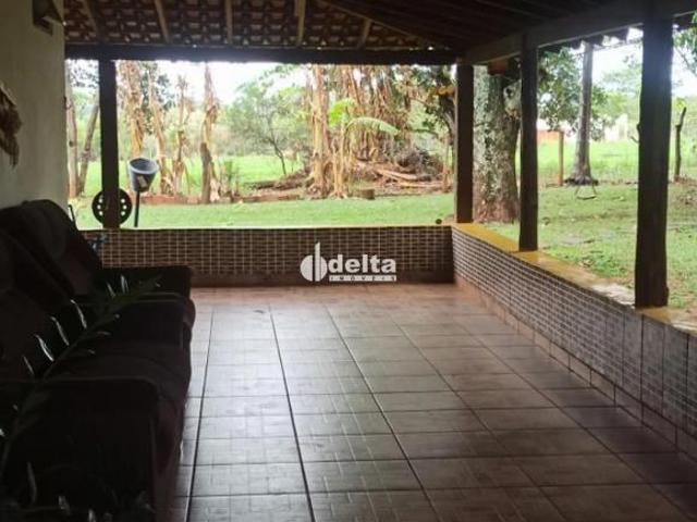 Chacara disponível para locação em condomínio fechado em Uberlândia MG