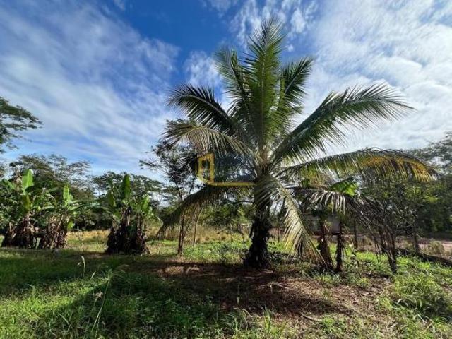 Chacara disponivel para locacao