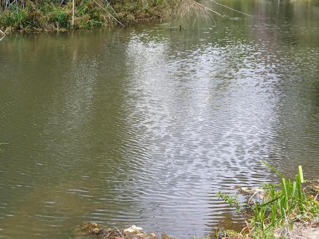 CHÁCARA DO PESCADOR COM LINDA REPRESA 179 MIL