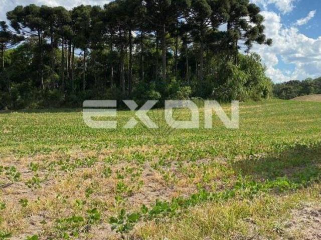 Chácara Documentada com 20.000m² em Bateias – Campo Largo