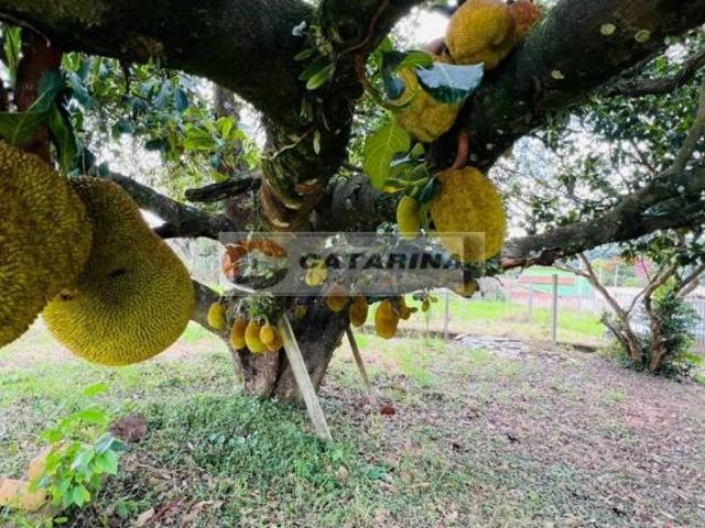Chacara, Dona Catariana, Mairinque, SP