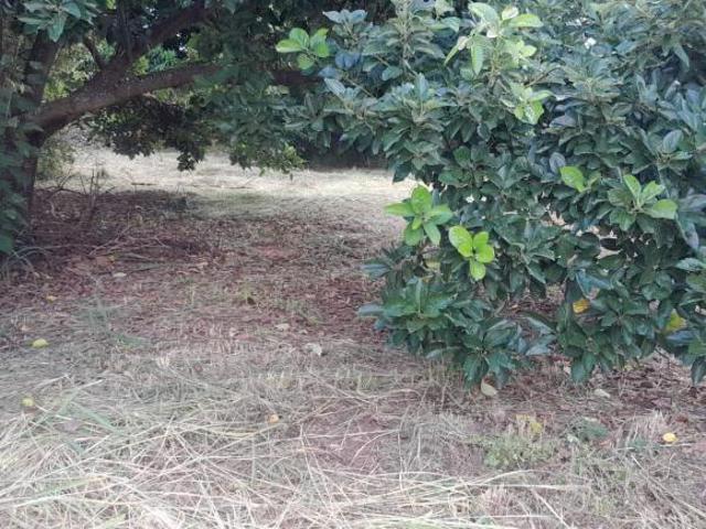 Chácara Exclusiva com 500m de Área Construída no Residencial Vista