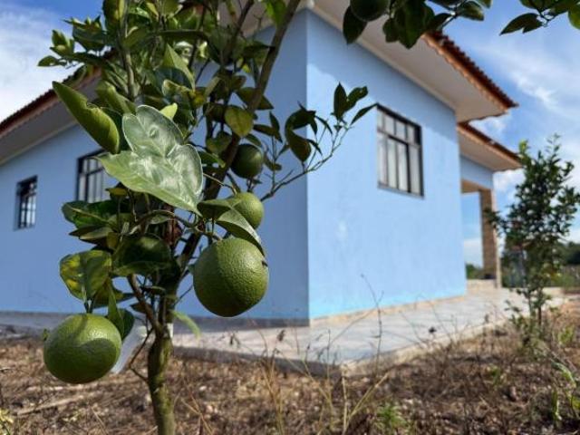 Chácara em Mandirituba | Casa Nova | Terreno Semi Plano | Fácil acesso | com 5.679 m² por R$ 495.000