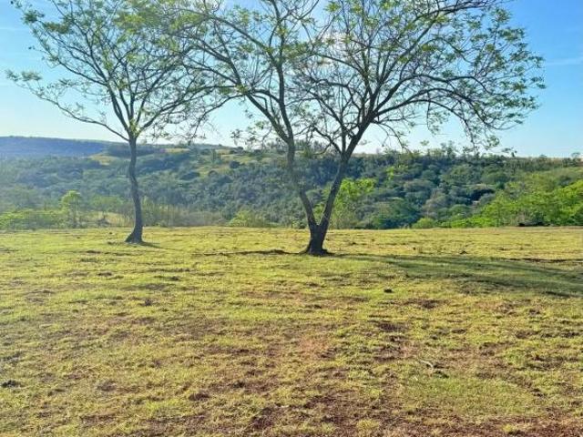 Chácara em Marialva