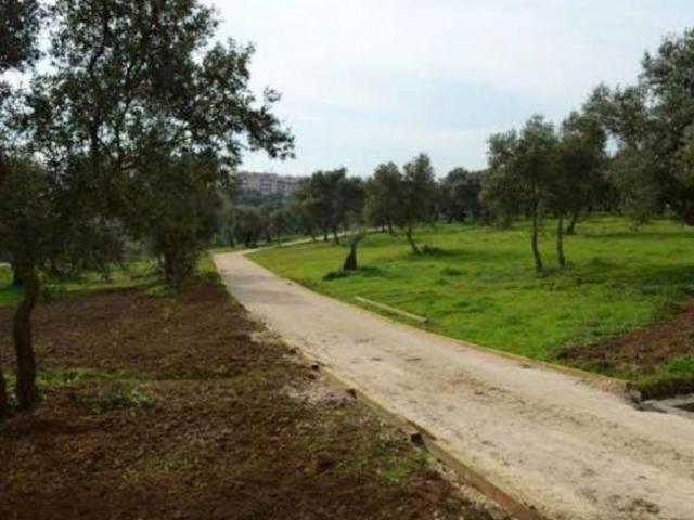 Chácara em Nova Odessa
