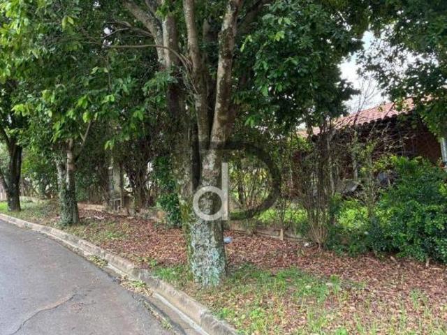Chácara em ótima localização no Panorama, com 923 m2 de área total
