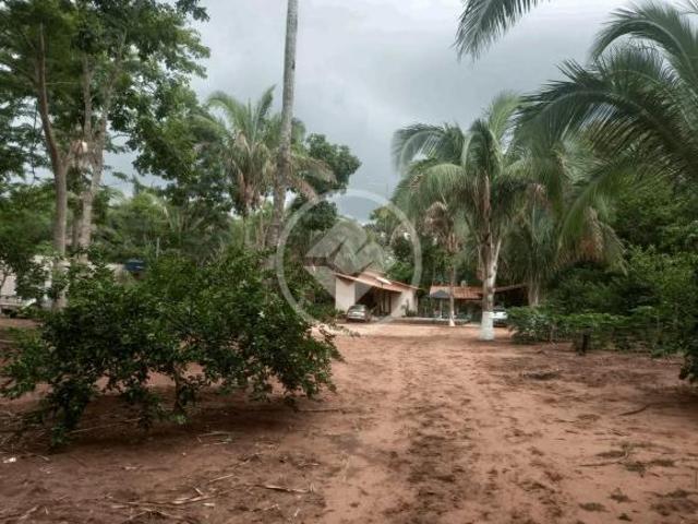 Chacara em Acorizal de 25 x 200 m Escriturado Acorizal MT R$ 300.000,00