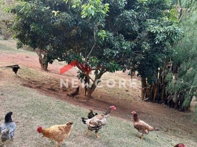 Chácara em Alameda das Goiabeiras Parque Valinhos Valinhos/SP