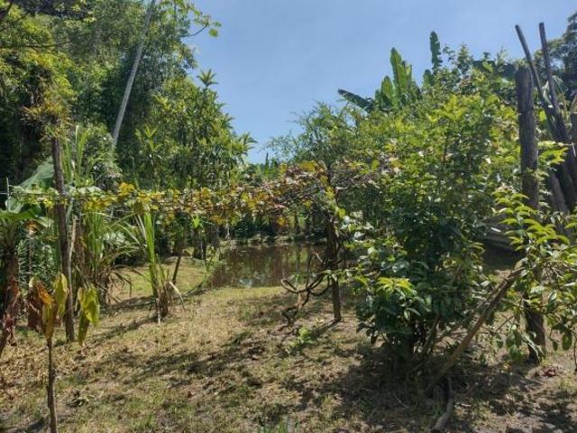 Chácara em Alexandra, Paranaguá, Casa, Tanques de Peixe e Alto Potencial de Investimento