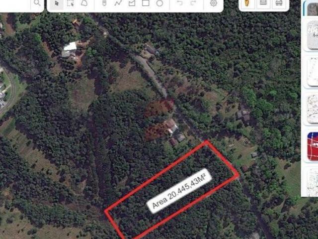Chácara em Alphaville Graciosa, Pinhais/PR de 20445m² à venda por R$ 1.500.000,00