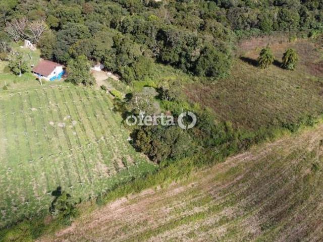 Chácara em Araucária