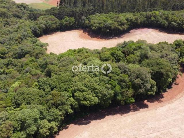Chácara em Araucária