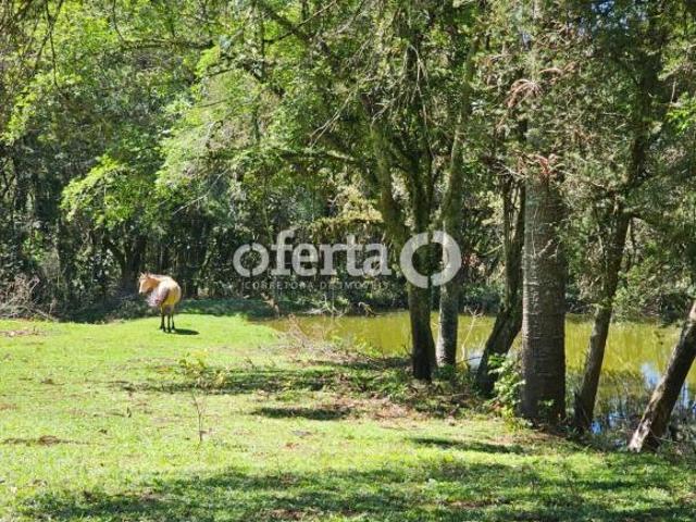 Chácara em Araucária