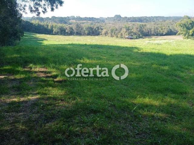 Chácara em Araucária