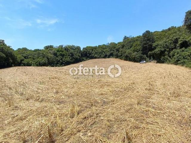 Chácara em Araucária