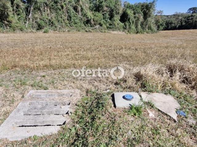 Chácara em Araucária