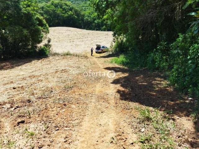 Chácara em Araucária