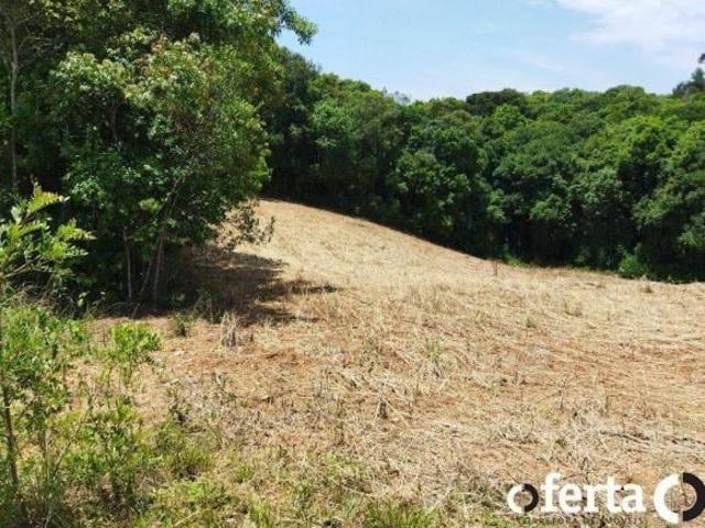 Chácara em Araucária 23.482 m2 matricula individ