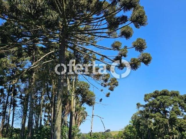 Chácara em Araucária