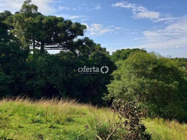 Chácara em Araucária