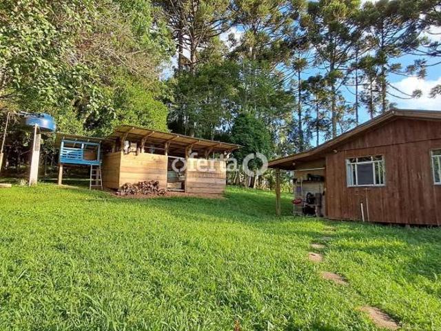CHACARA EM ARAUCARIA BOTIATUVA