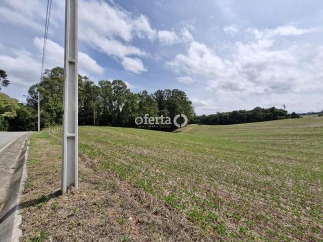 Chácara em Araucária / Campina das Palmeiras