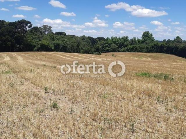 Chácara em Araucária / Campo do Thomaz