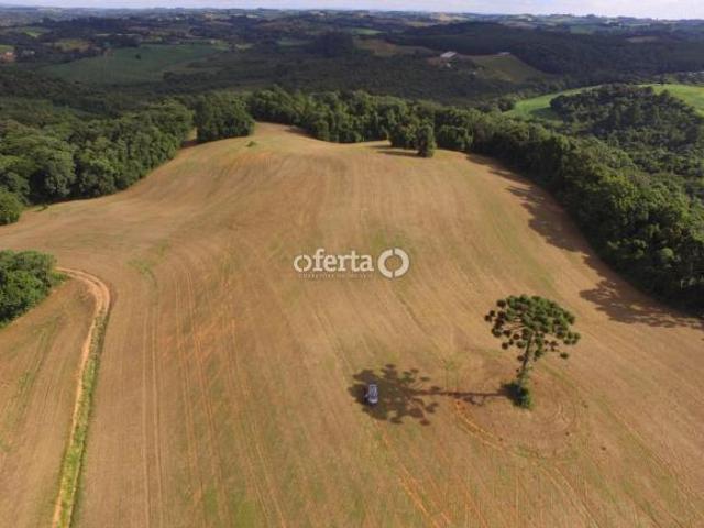 Chácara em Araucária com 9,5 alqueires
