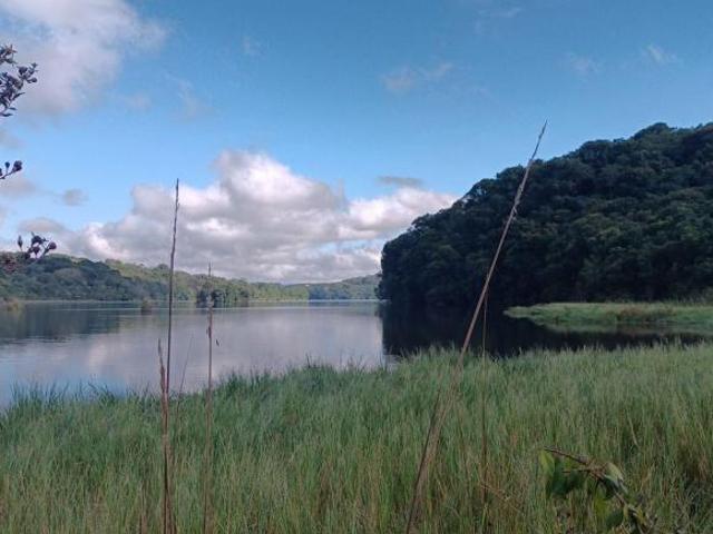 Chácara em Araucária com nascente, represa e natureza exuberante: Aceita imóvel!