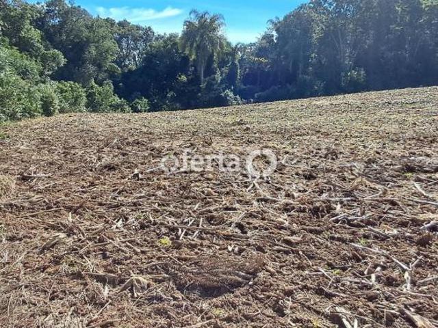 CHACARA EM ARAUCARIA COLONIA MELADO