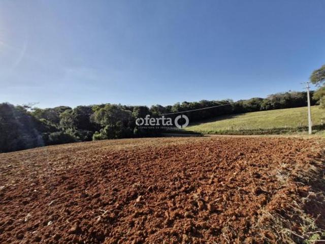 Chácara em Araucária / Colônia Cristina