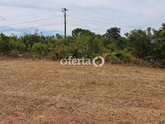 CHACARA EM ARAUCARIA GUAJUVIRA