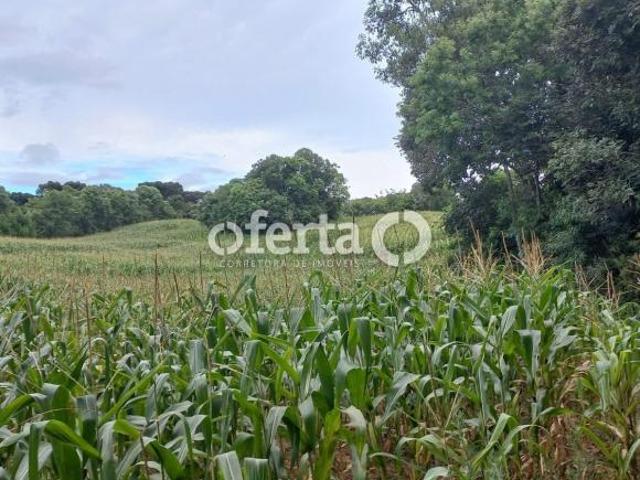 Chácara em Araucária / Lagoa Grande