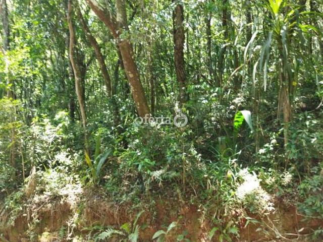 Chácara em Araucária / Rio Verde