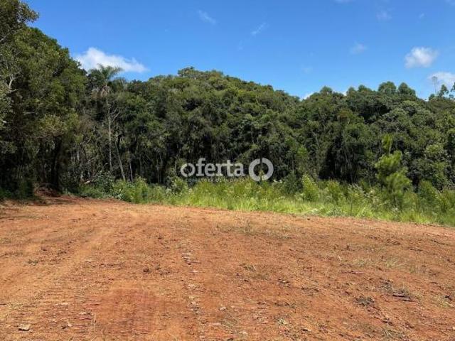 Chácara em Araucária / Rio Verde Acima