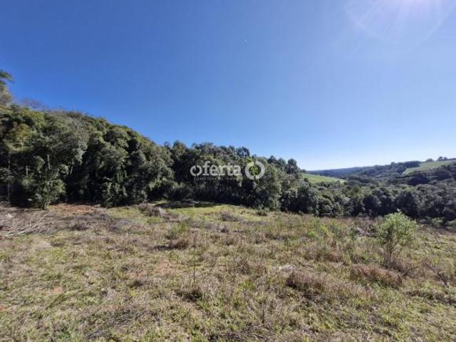 Chácara em Araucária / Rio Verde Acima