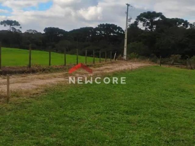 Chácara em Área Rural Campo Largo da Roseira São José dos Pinhais/PR