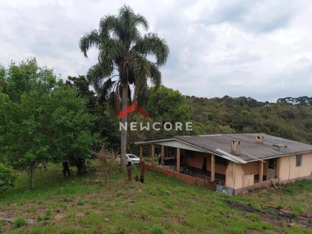 Chácara em Área Rural Área Rural de São José dos Pinhais São José dos Pinhais/PR