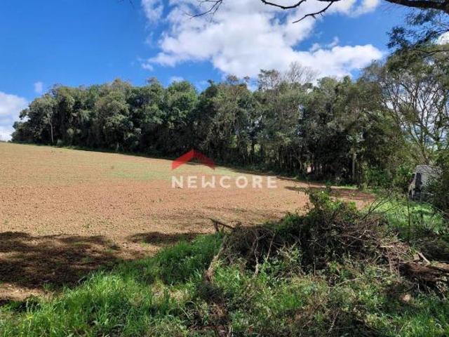 Chácara em Área Rural Área Rural de São José dos Pinhais São José dos Pinhais/PR
