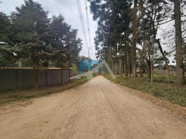 Chácara em Área Rural de São José dos Pinhais, São José dos Pinhais/PR