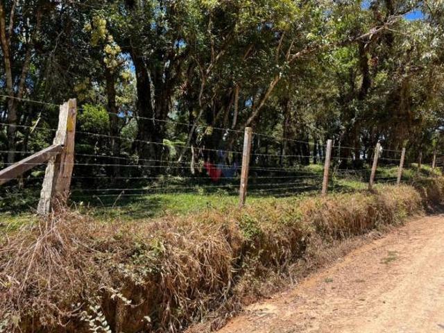 Chácara em Area Rural, Sao Jose Dos Pinhais/PR de 20000m² à venda por R$ 330.000,00