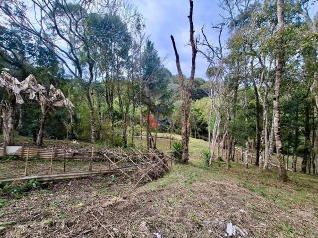 Chácara em Areia Branca Dos Assis, Mandirituba/PR de 12000m² 2 quartos à venda por R$ 583.000,00