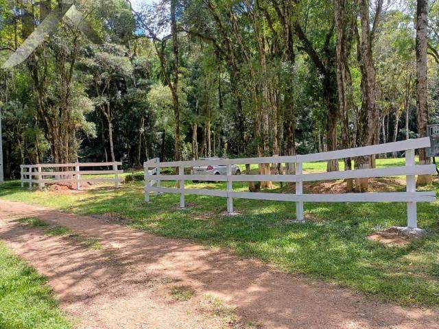 Chácara em Areia Branca Dos Assis, Mandirituba/PR de 3025m² à venda por R$ 159.000,00